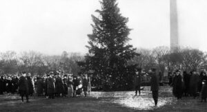 About the Tree - National Christmas Tree Lighting