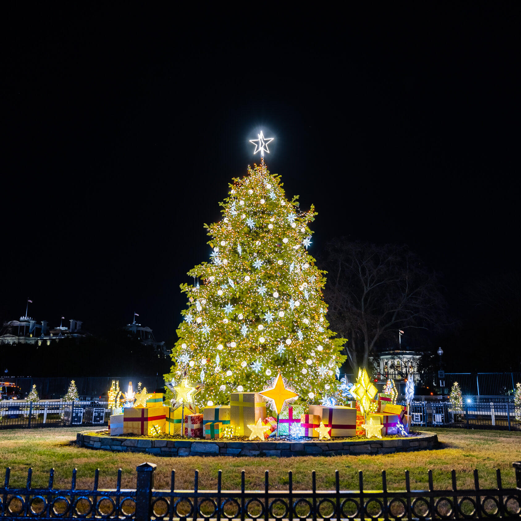 Home - National Christmas Tree Lighting