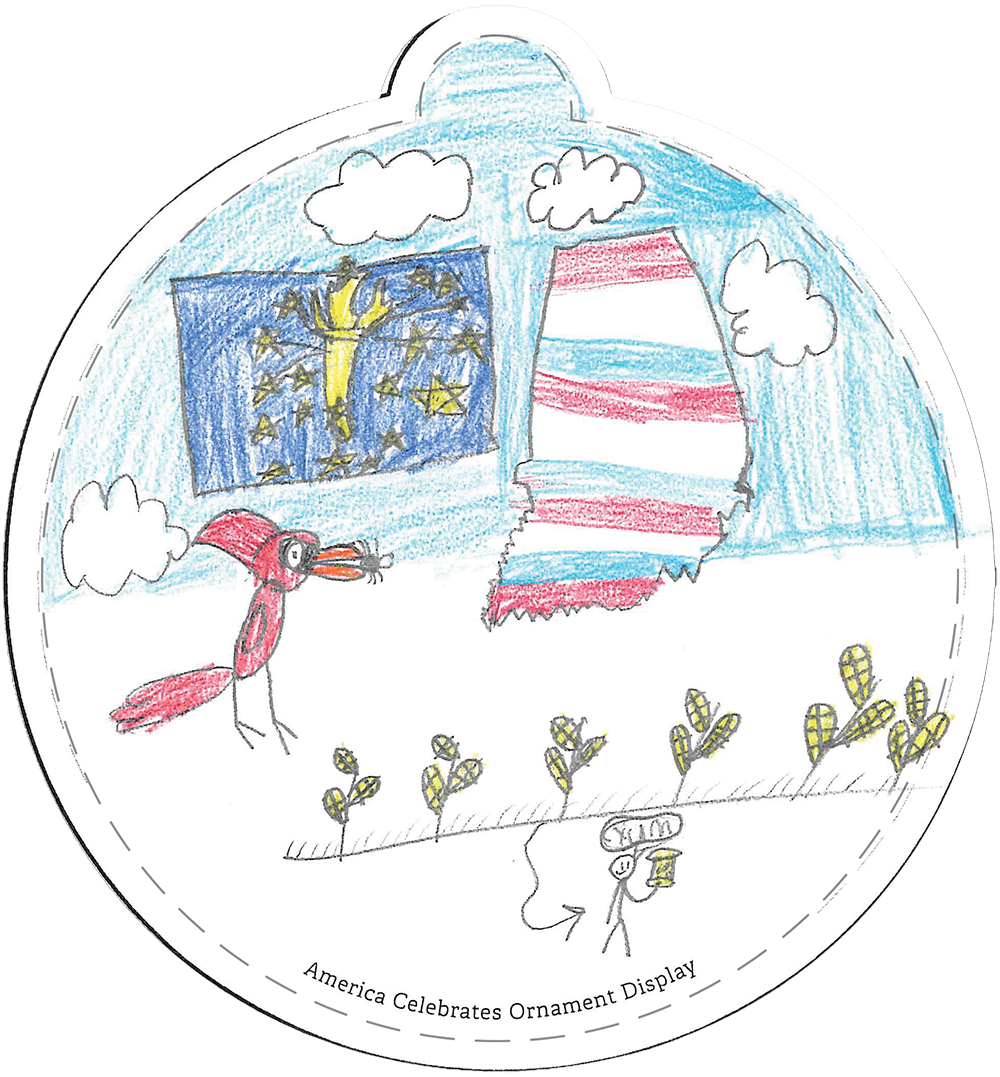 Indiana - National Christmas Tree Lighting