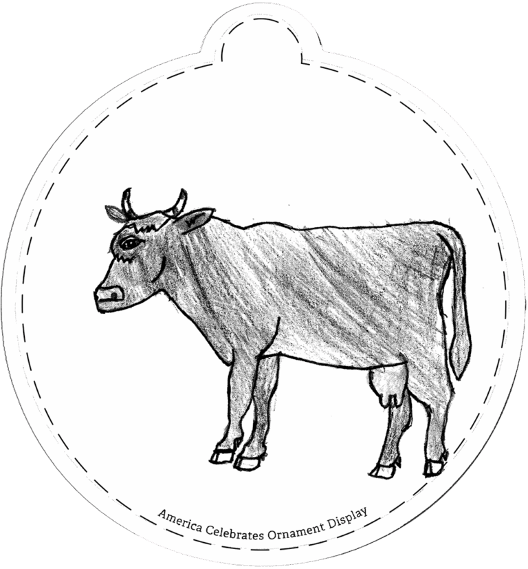 Nebraska - National Christmas Tree Lighting
