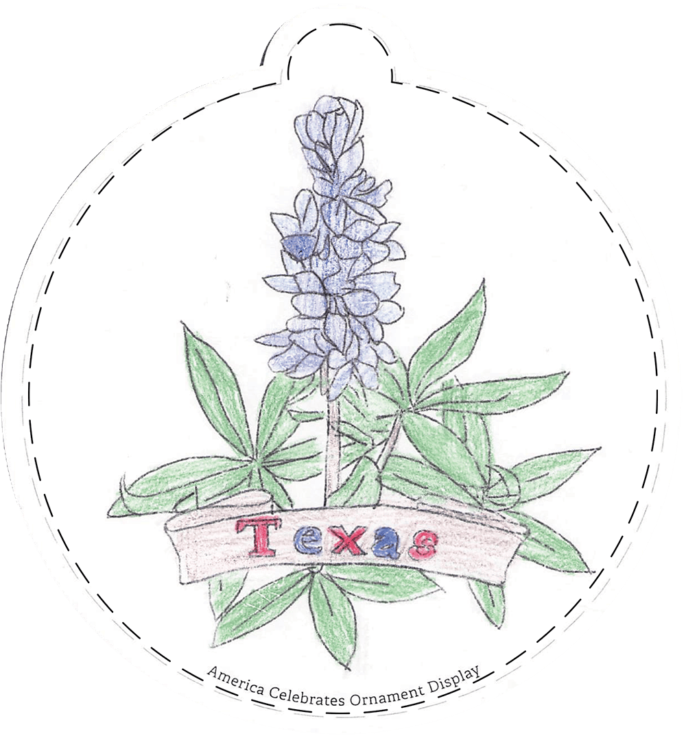 Texas - National Christmas Tree Lighting